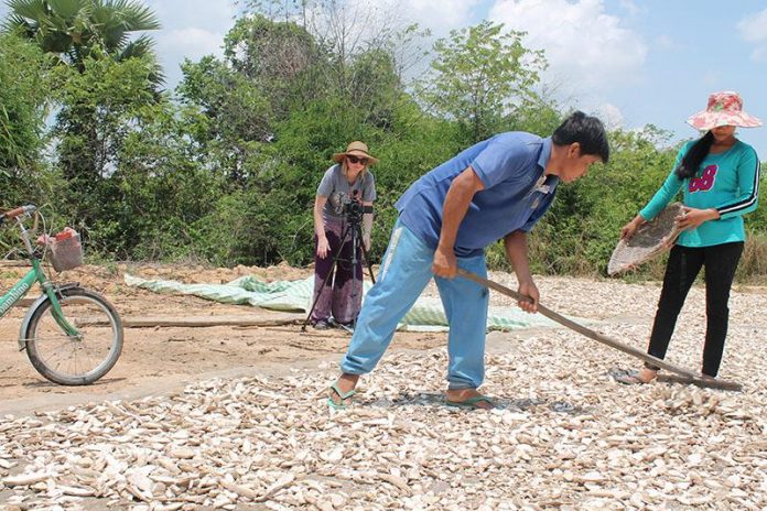 Thinking Outside the Digital Box - The Cambodia Daily